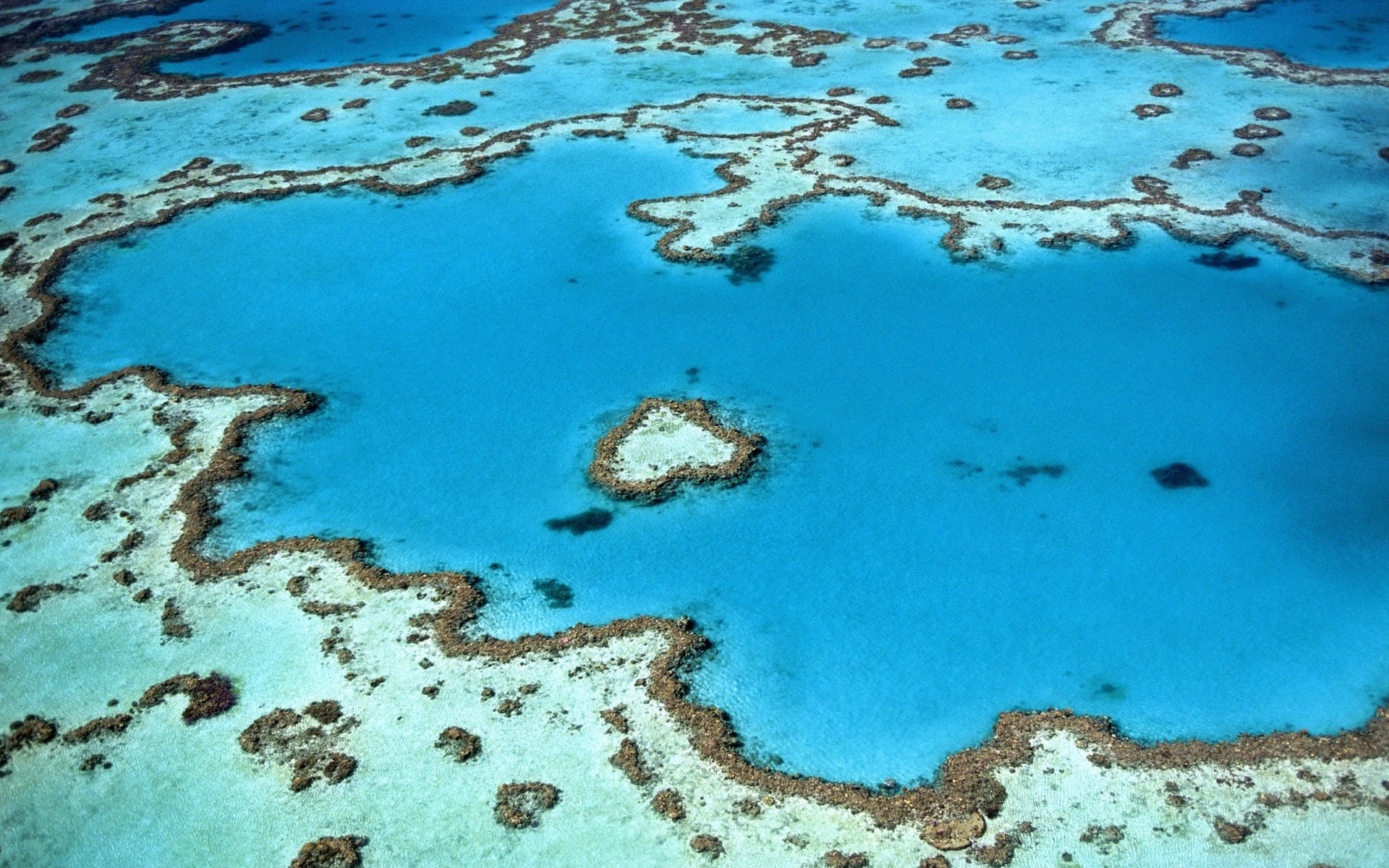 Visite de la Grande Barrière de Corail en Australie